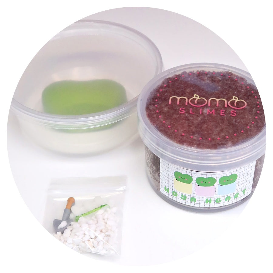 Hoya Heart DIY Slime Kit – Momo Slimes