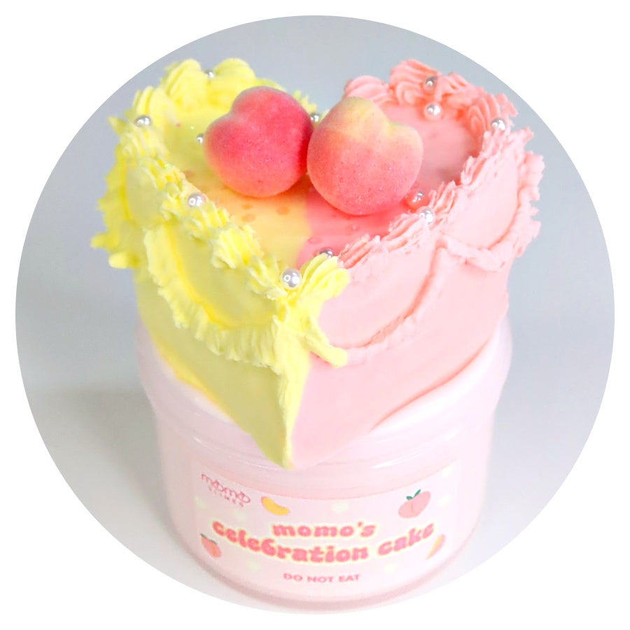 Momo's Celebration Cake DIY Slime Kit – Momo Slimes